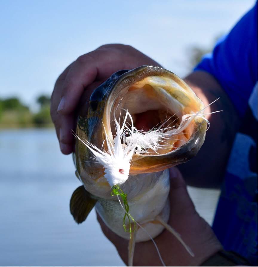 Slider Flies – Delta Bass Bugs